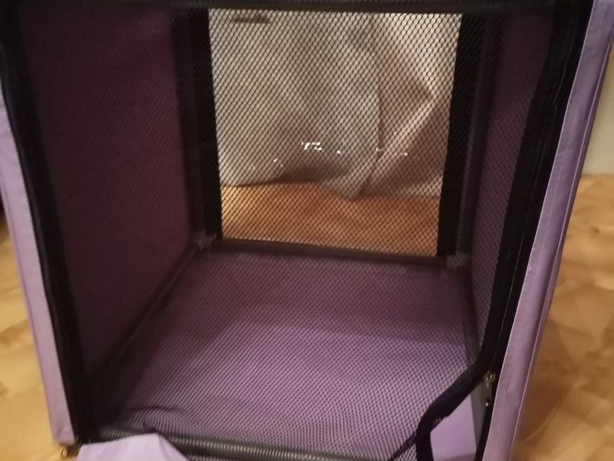 Палатка для выставки кошек