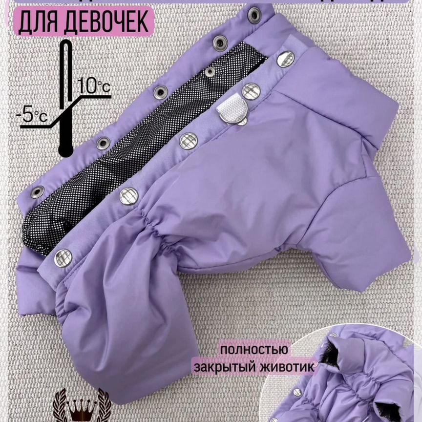 Зимний комбинезон для собак мелких пород