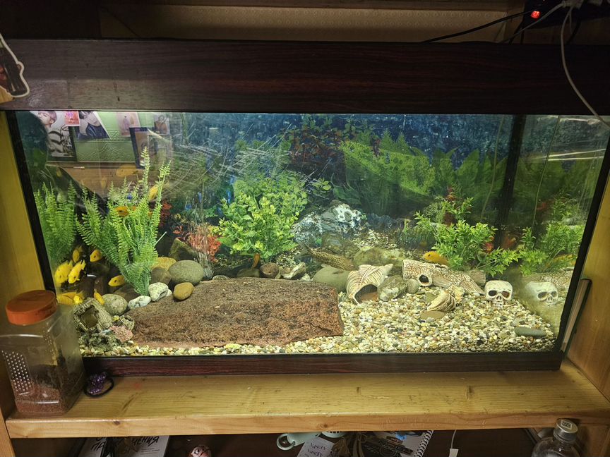 Аквариум с рыбками