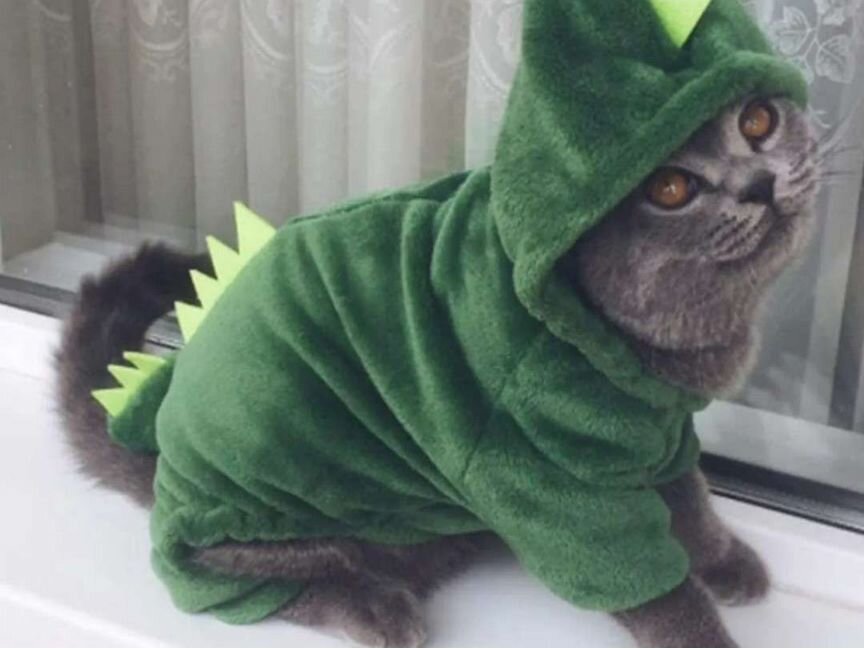 Костюм для кота