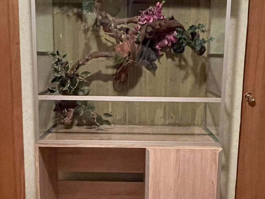 Террариум для хамелеона