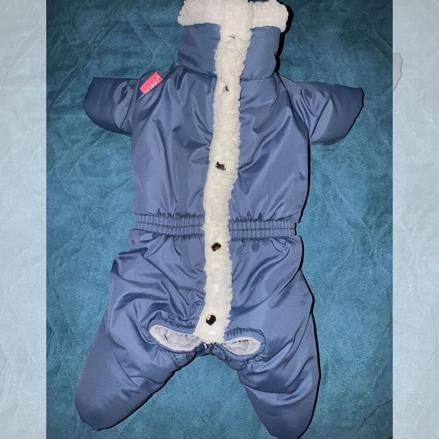 Одежда для собак мелких пород зима мальчик