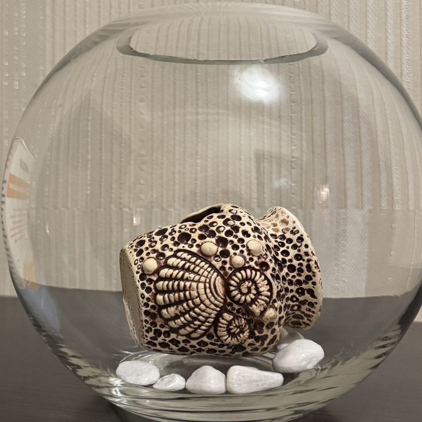 Аквариум с декором