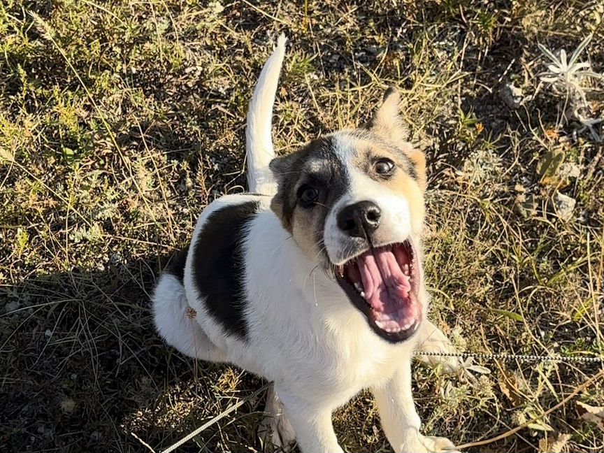 Чудесная Маргоша ищет свою семью