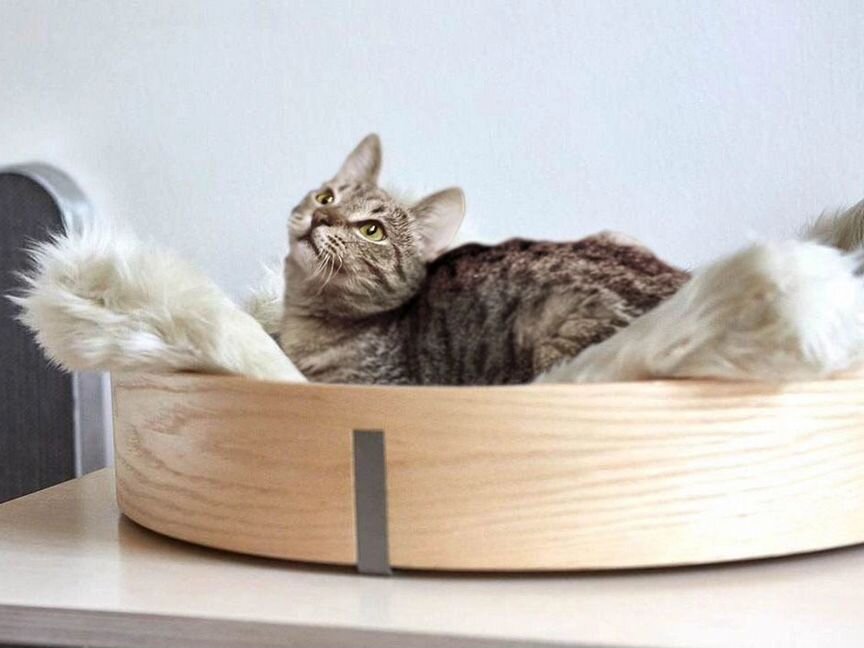 Вот, это конфуз