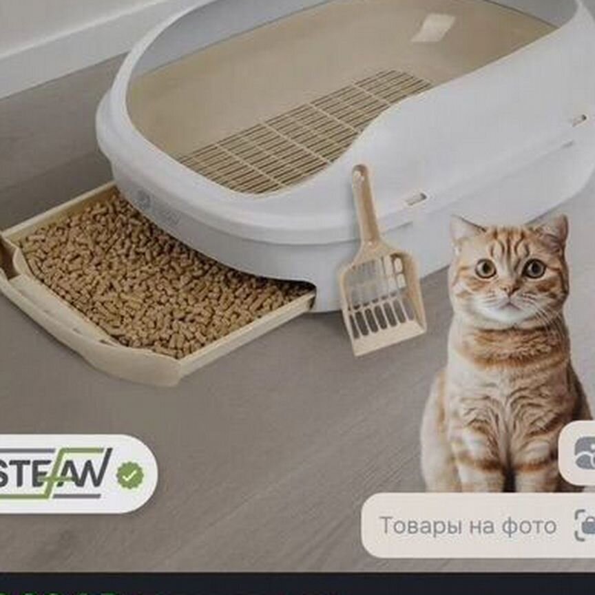 Лоток