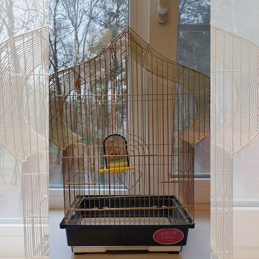 Клетка для попугая