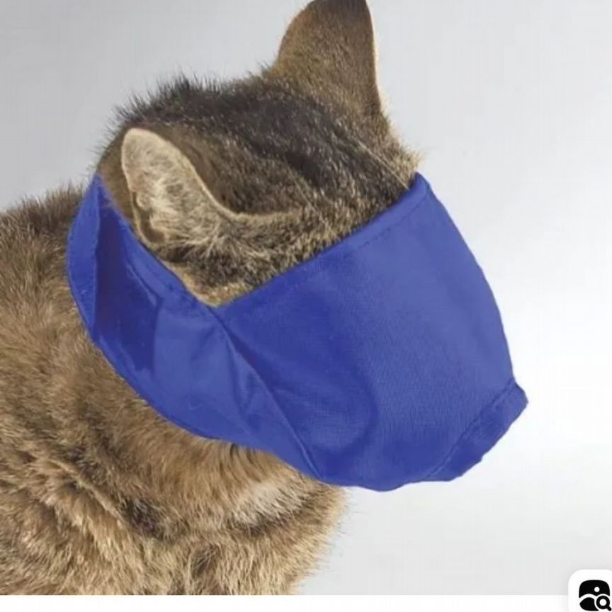 Намордник для кота