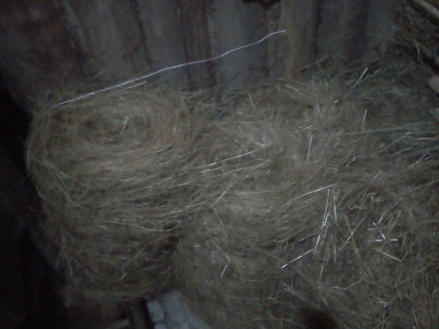 Сено в рулонах