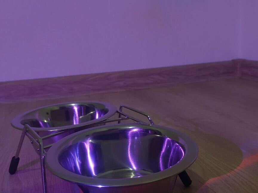 Миски для собак с подставкой