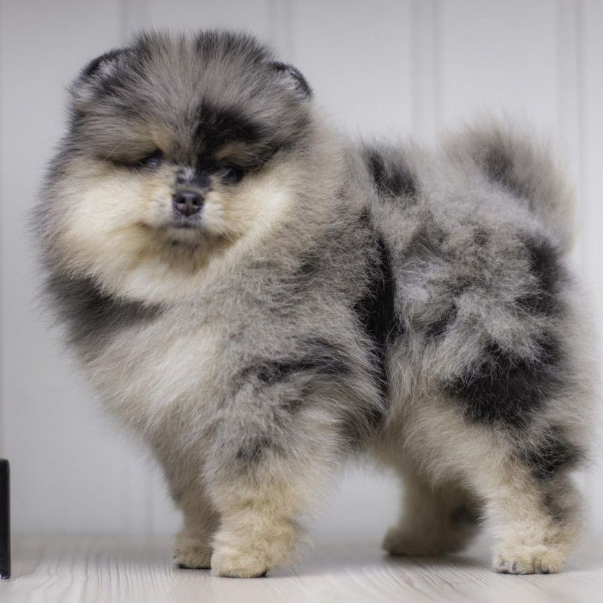 Девочка с голубыми глазами