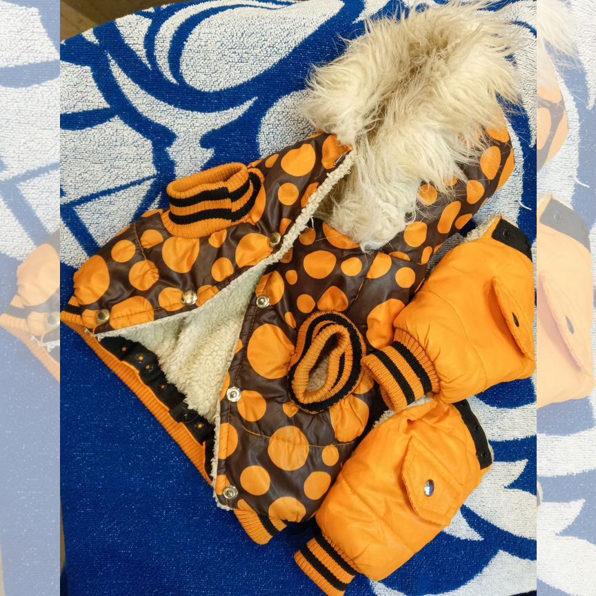 Комбинезон для маленькой собаки