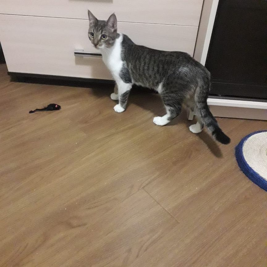 Ласковая подросточек Машенька 6 месяцев