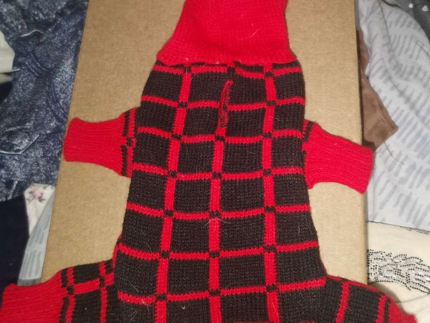 Одежда для чихуахуа