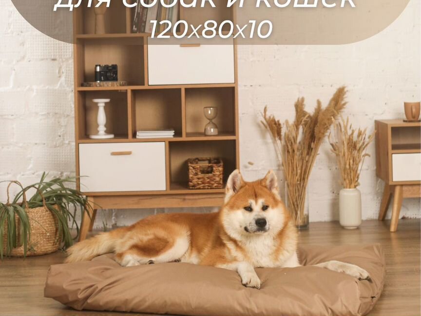 Лежанка антивандальная со съёмным чехлом 120х80х10