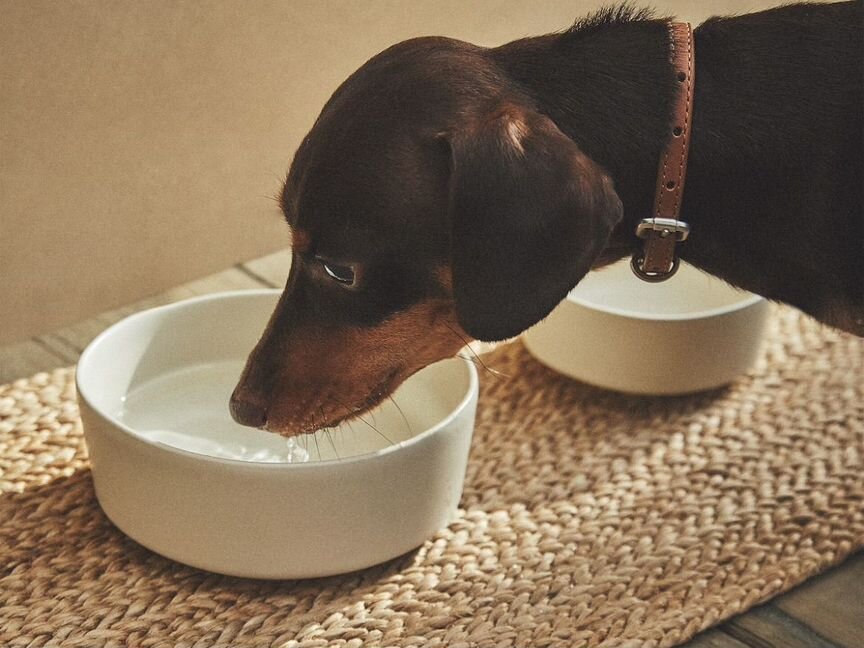 Джутовый коврик под миски Zara Home