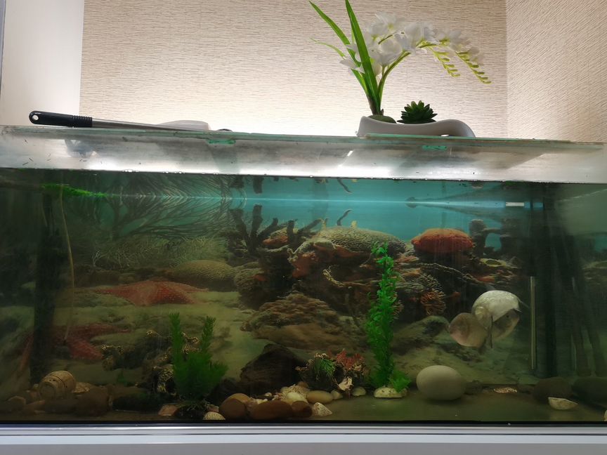 Аквариум с рыбками 400л 125*55*45