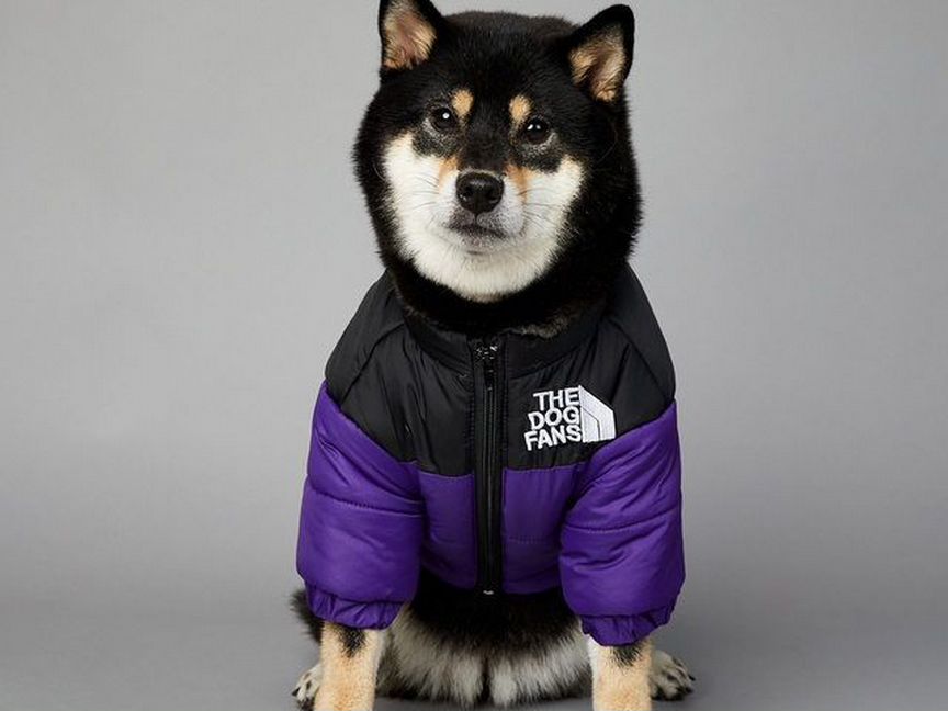 Куртка для собаки