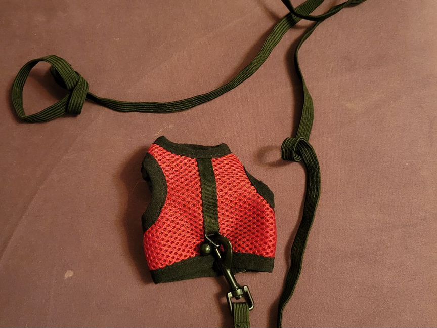 Шлейка с поводком для грызунов