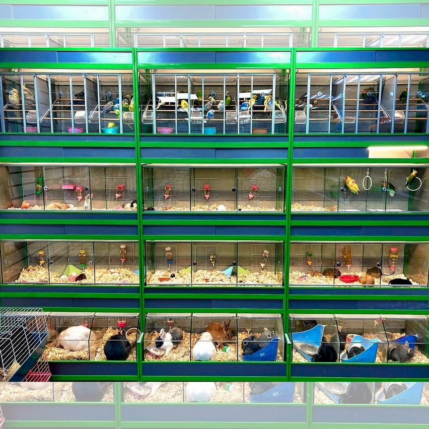 Оборудование для зоомагазина