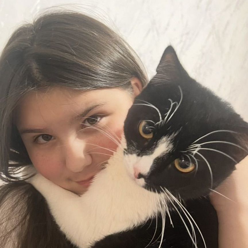 Котик по кличке Тэй ищет дом