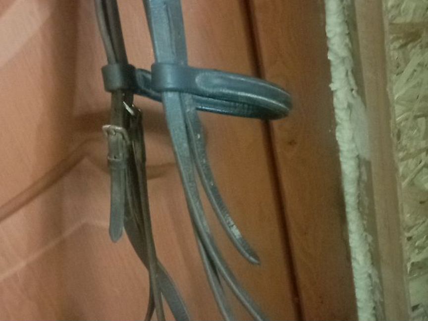 Уздечка для лошади