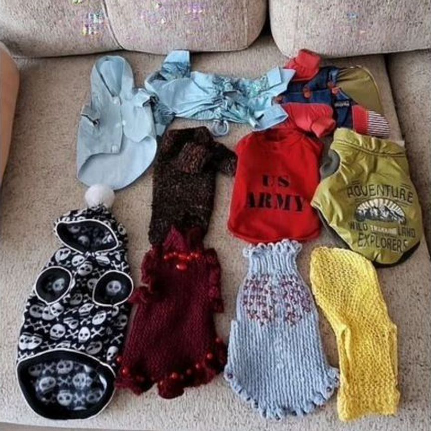 Одежда для маленьких собак пакетом