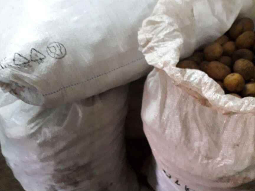 Мелкая картошка