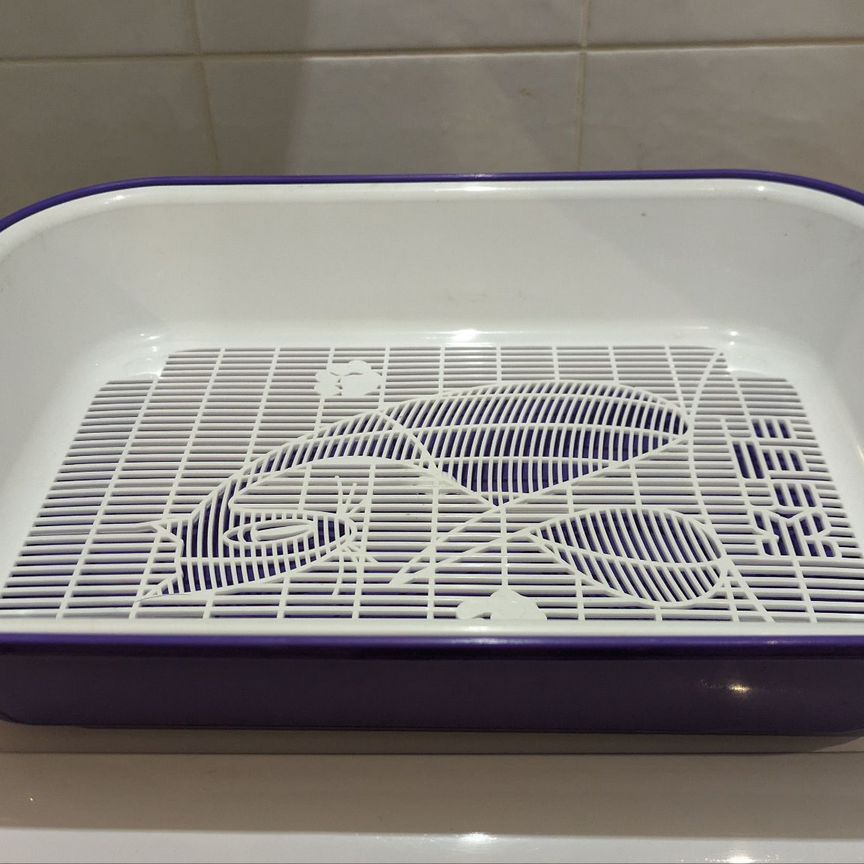 Лоток для котенка или маленькой кошки