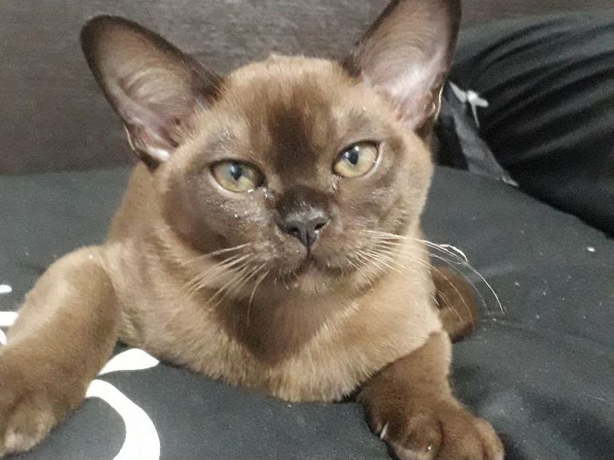 Малыши Бурмаши