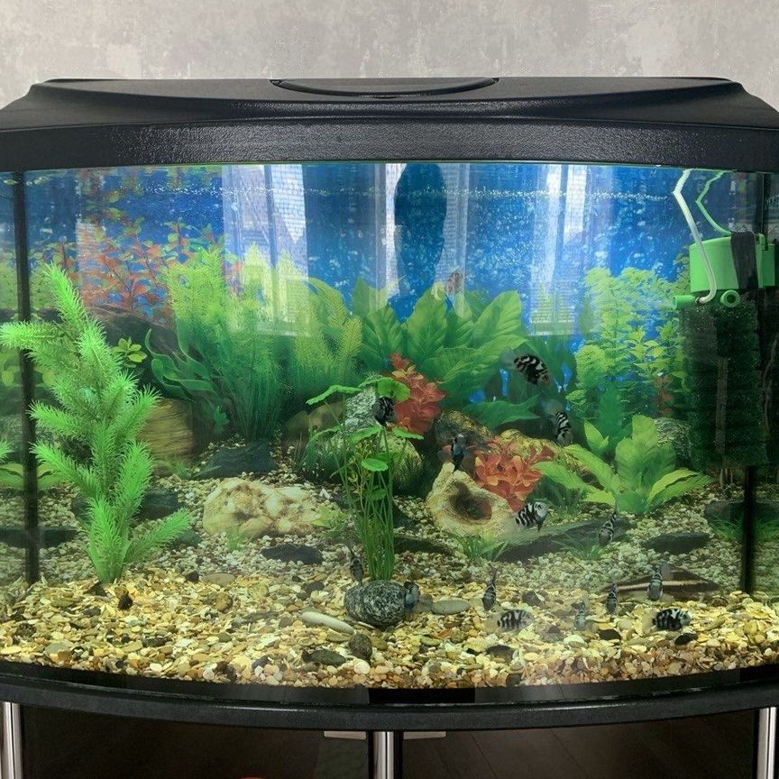 Аквариум с тумбой 100л