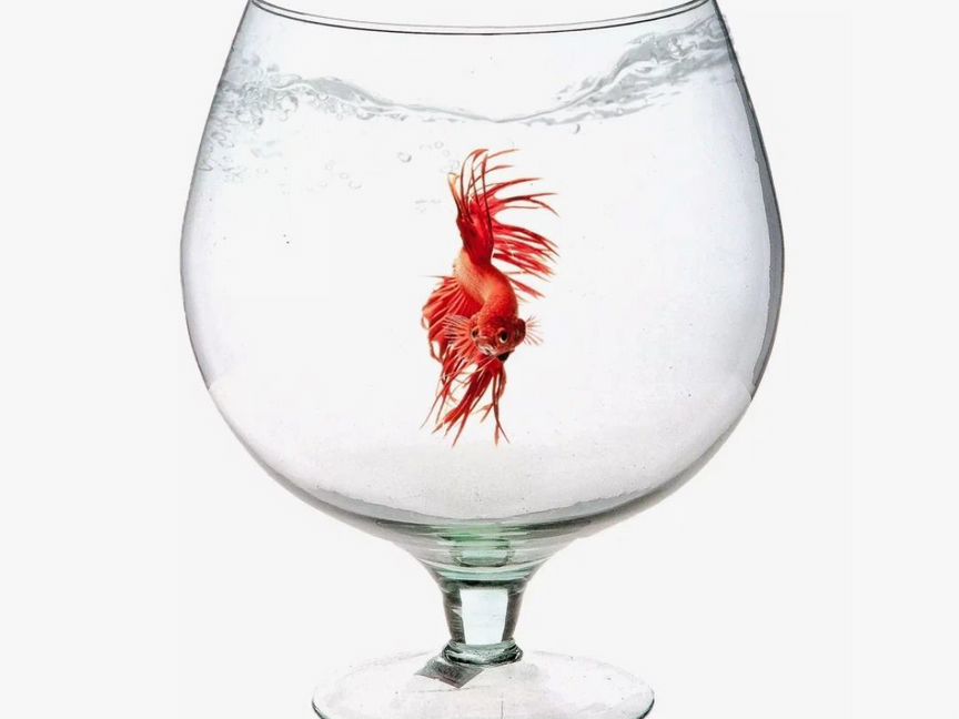 Аквариум Рюмка 10 литров