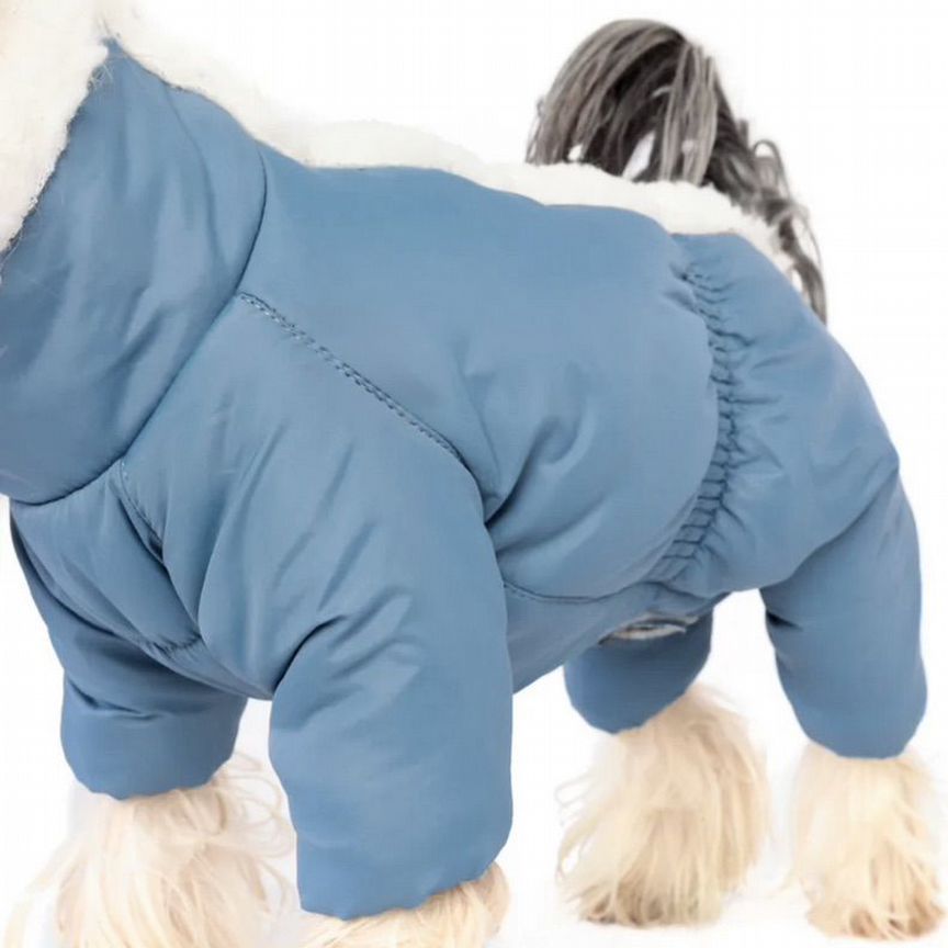 Одежда для маленьких собак зима