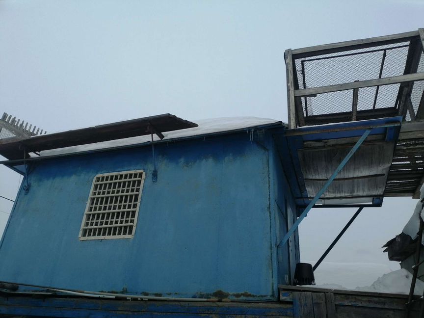 Голубятня/птичник/будка