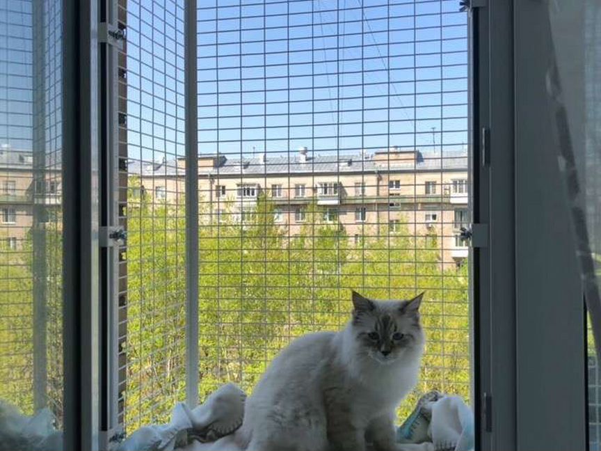 Балкон для кошек