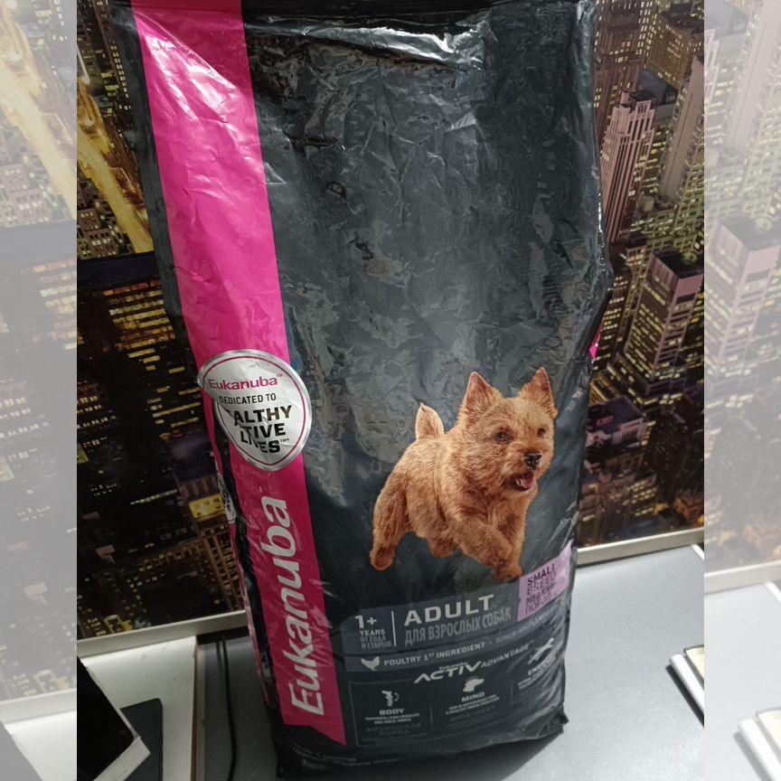 Сухой корм для собак Eukanuba Small Breed 1 15 кг