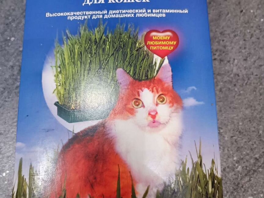 Травка для кошек