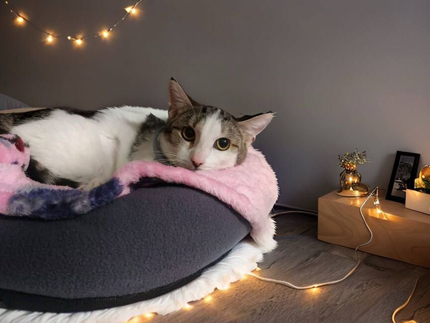 Жертва врачебной ошибки ищет дом