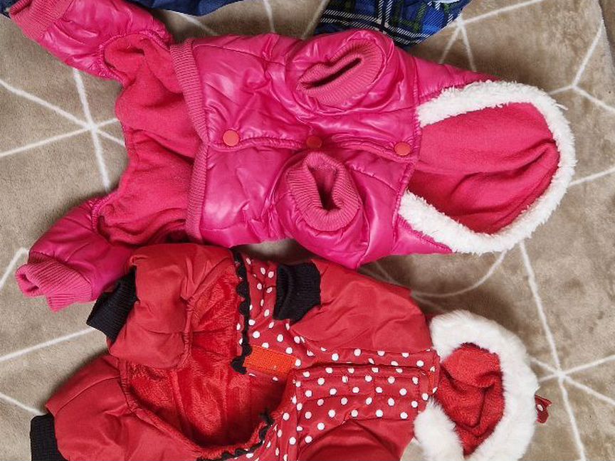 Одежда для собак мелких пород девочек