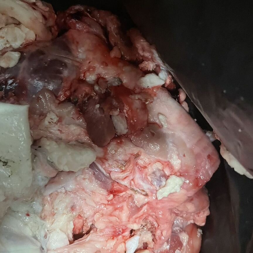 Говяжьи обрези для собак