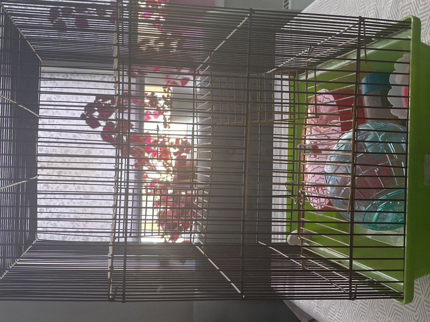 Клетка для грызунов
