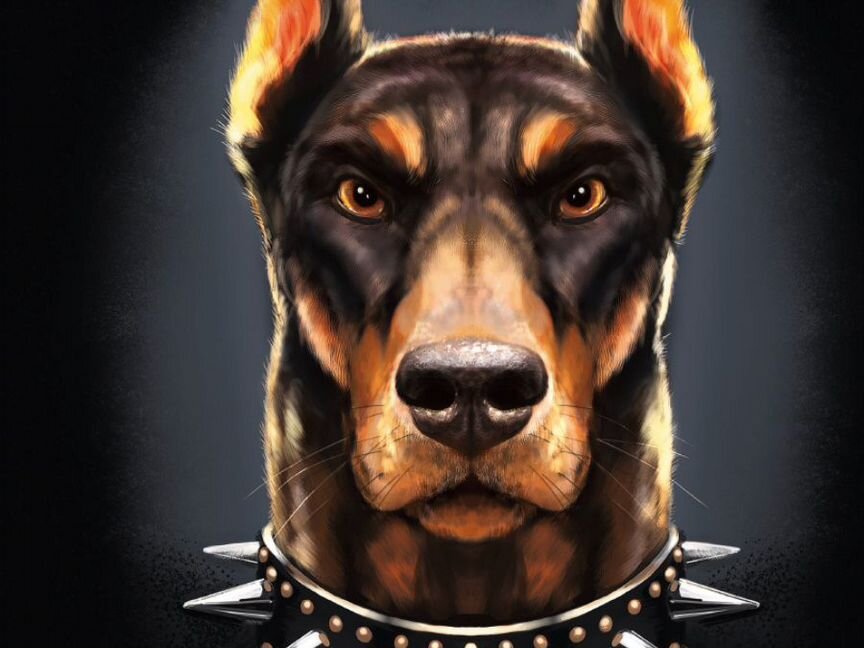 Отдам добермана в добрые руки