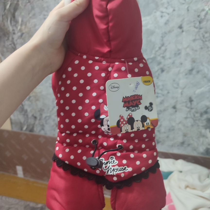 Костюм для маленькой собаки