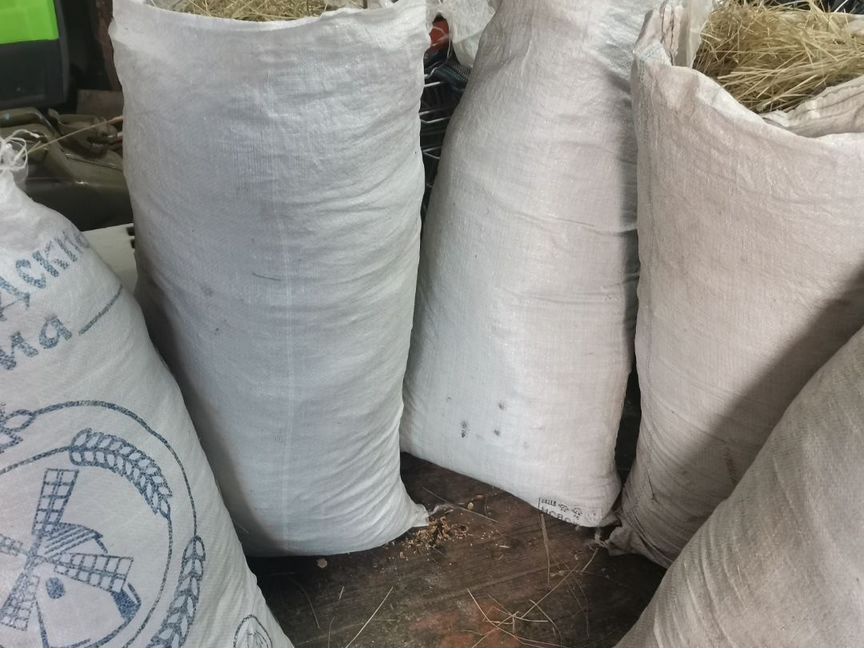 Сено для кроликов