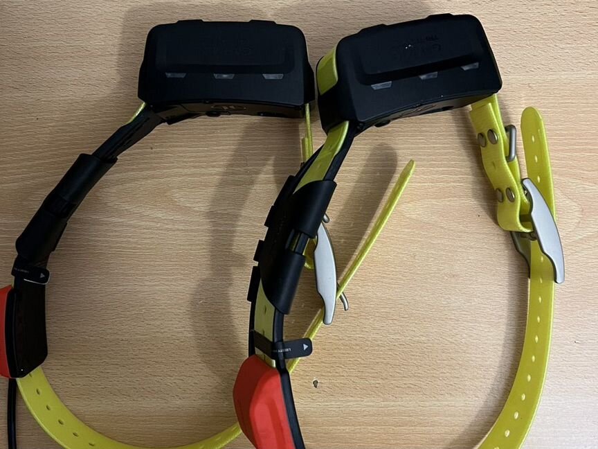Ошейник для собак garmin t5 европа