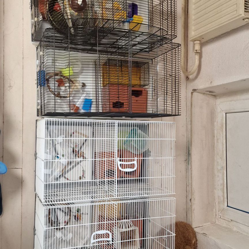 Клетки для попугаев новые