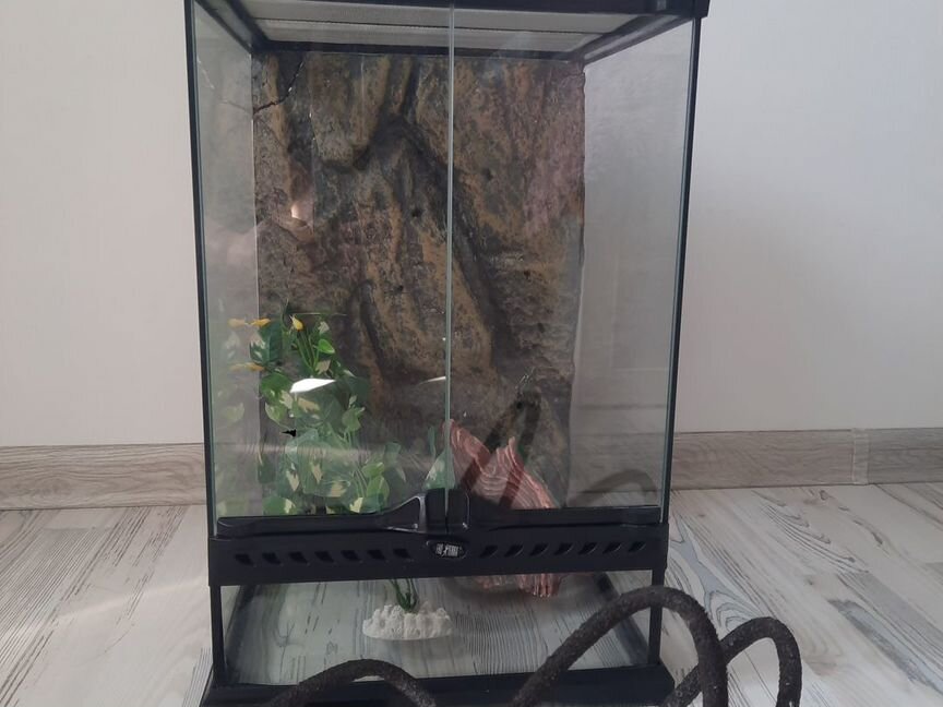 Товары для домашних животных