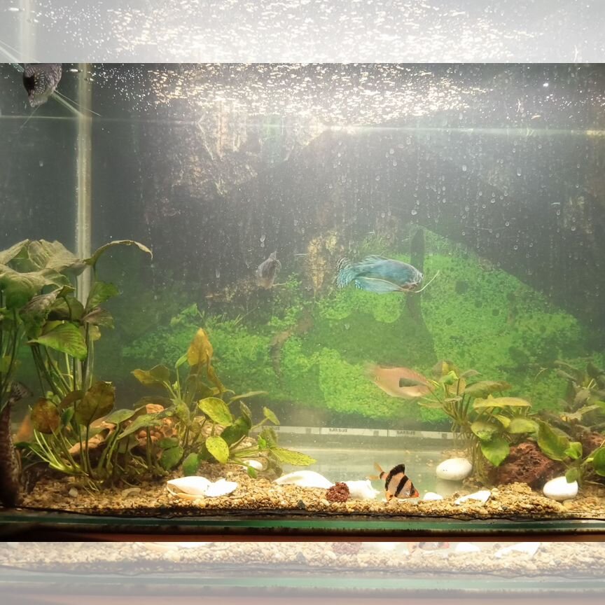 Аквариум с рыбками и тумбой