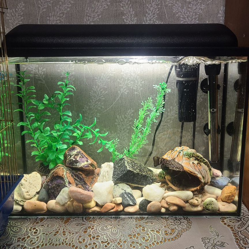 Аквариум для рыбок