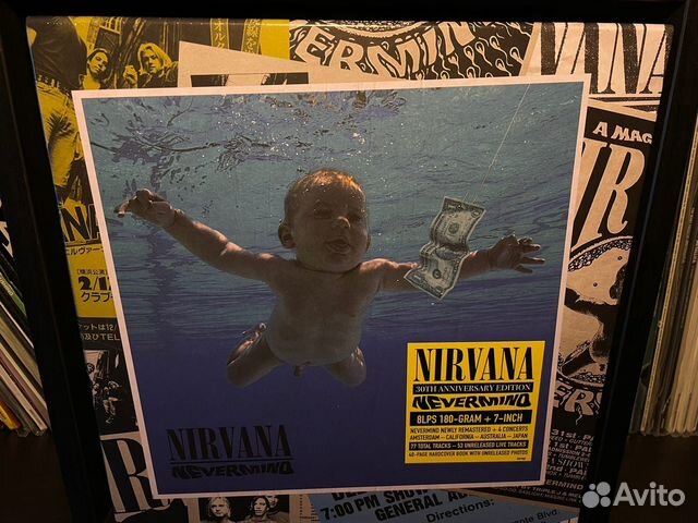 Nirvana – Nevermind (Box Set) купить в Санкт-Петербурге | Хобби и отдых ...